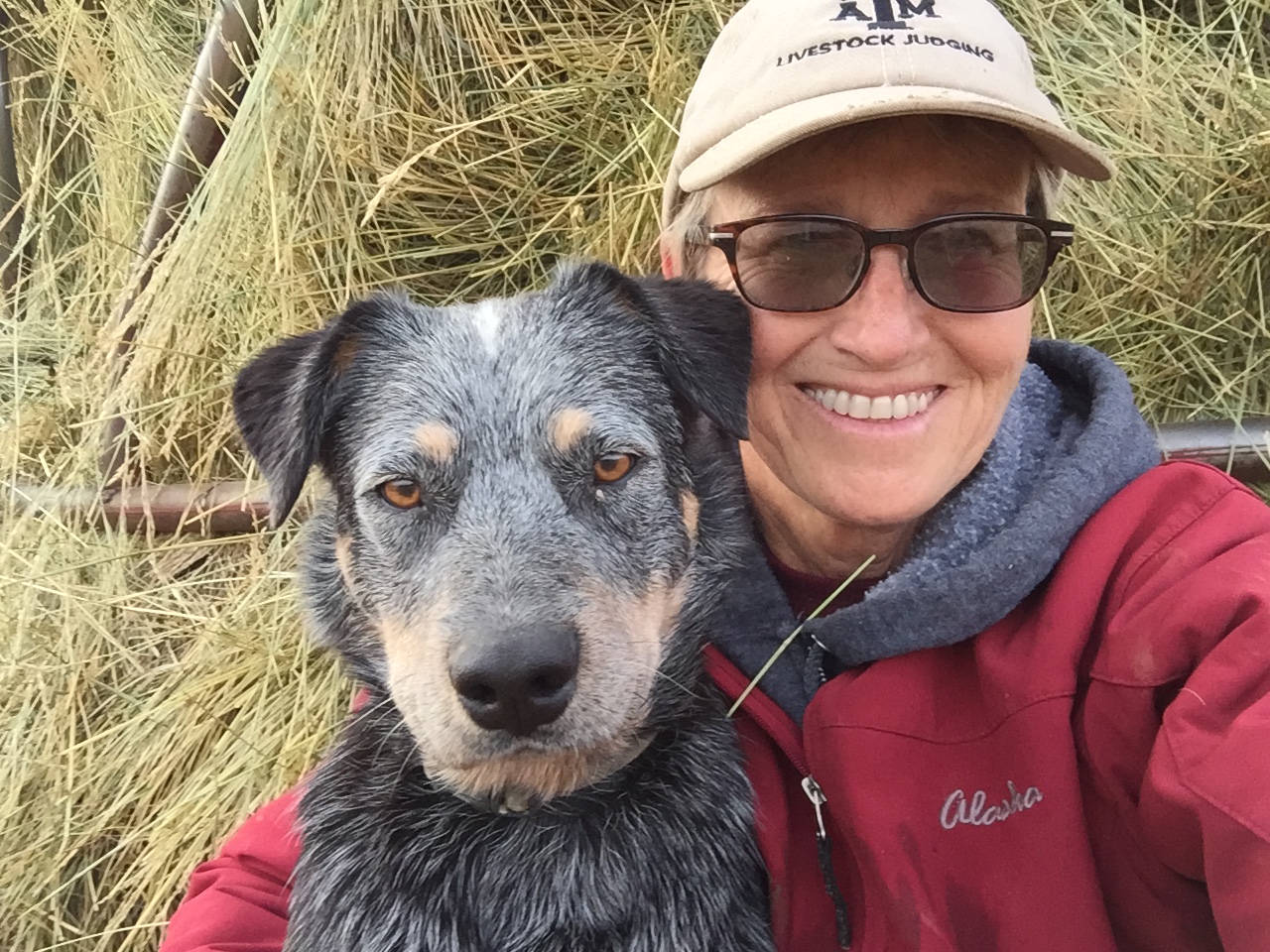 Victoria Barkley – Where Are You? - Wilkinson Gelbvieh Ranch